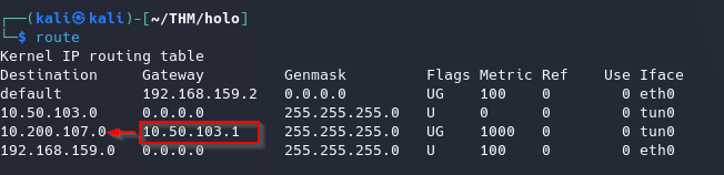 Holo - TryHackMe | Portfolio, Writeups & Projects